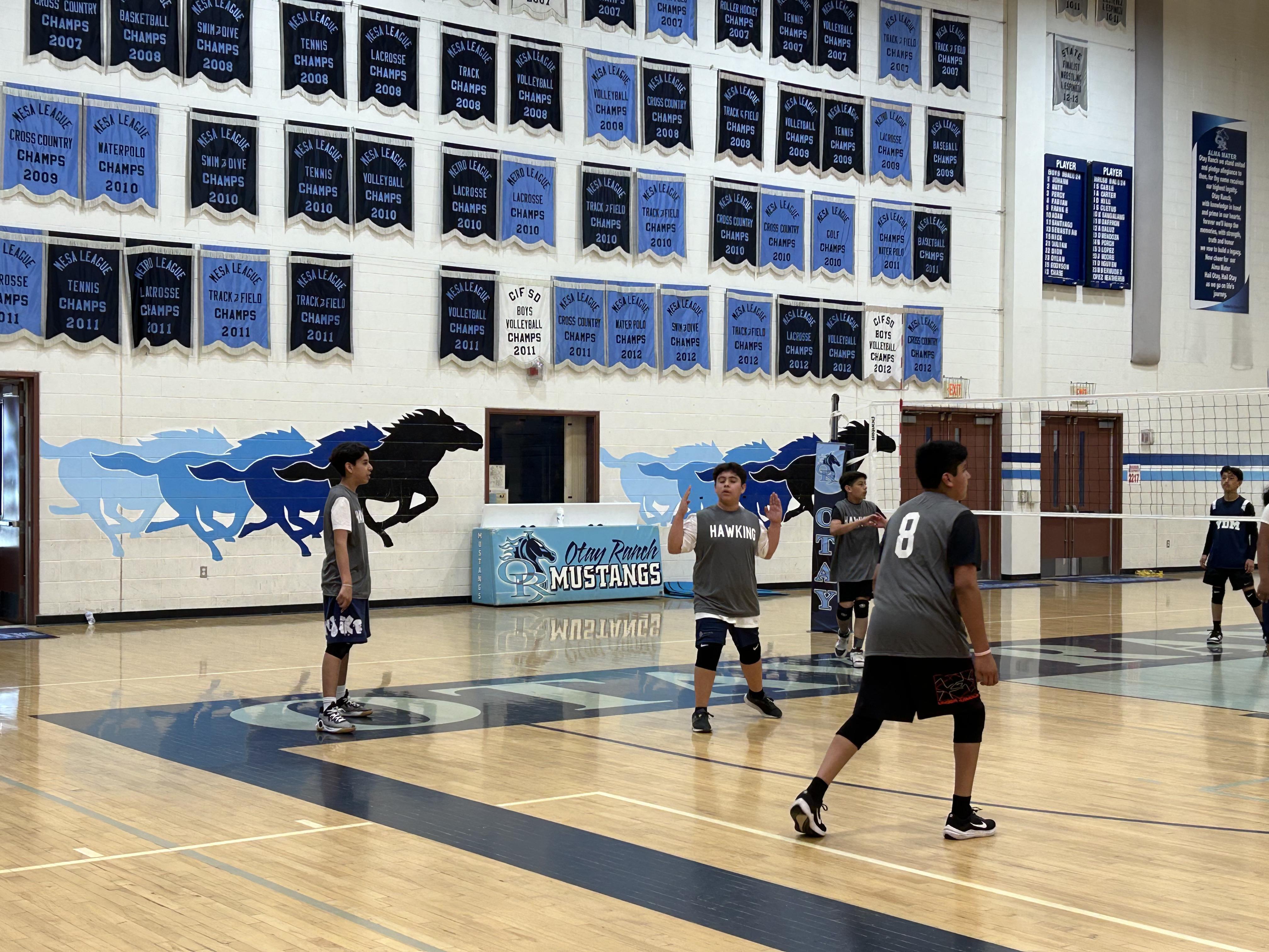 Hawking Sports Program – Competitive Athletics – Hawking STEAM Charter ...