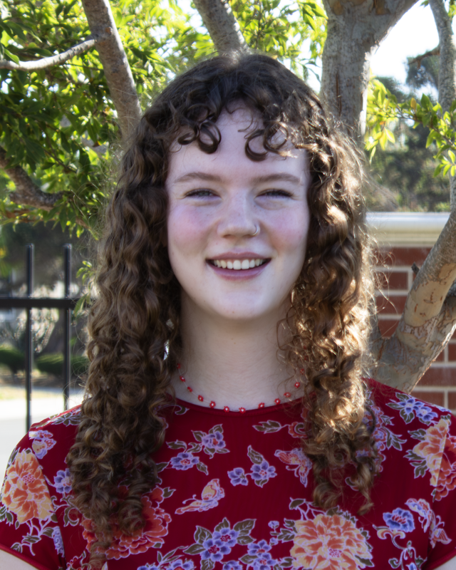 Religion – Junior High – Visitation Elementary School