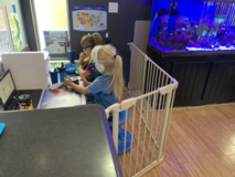 Ness Elementary School