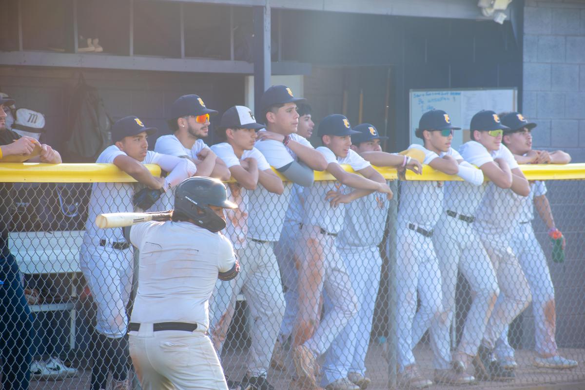 Bourgade Catholic Baseball: Season Preview | Bourgade Catholic High School