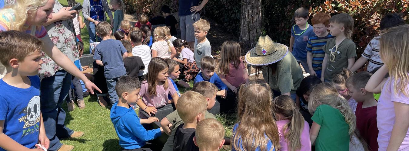 Sequoia Union Elementary School