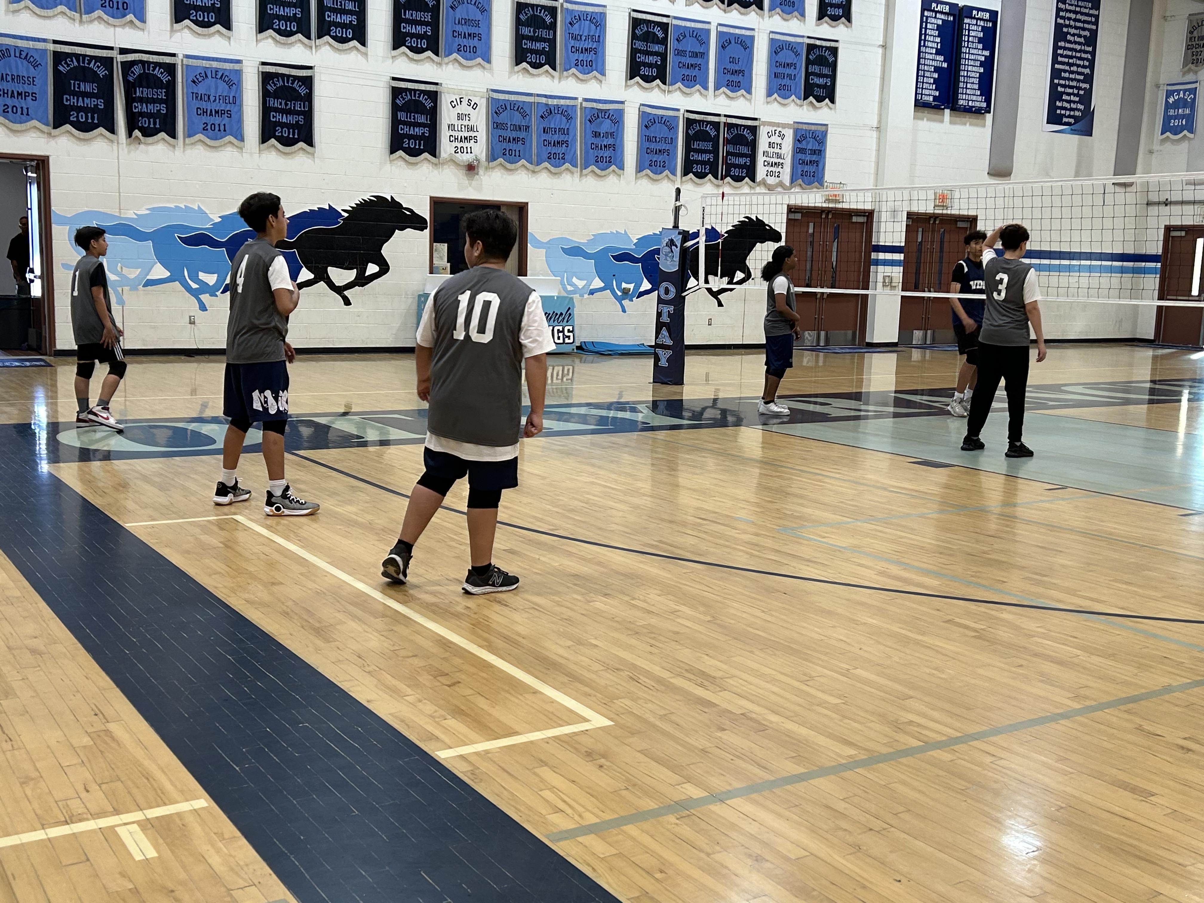 Hawking Sports Program – Competitive Athletics – Hawking STEAM Charter ...