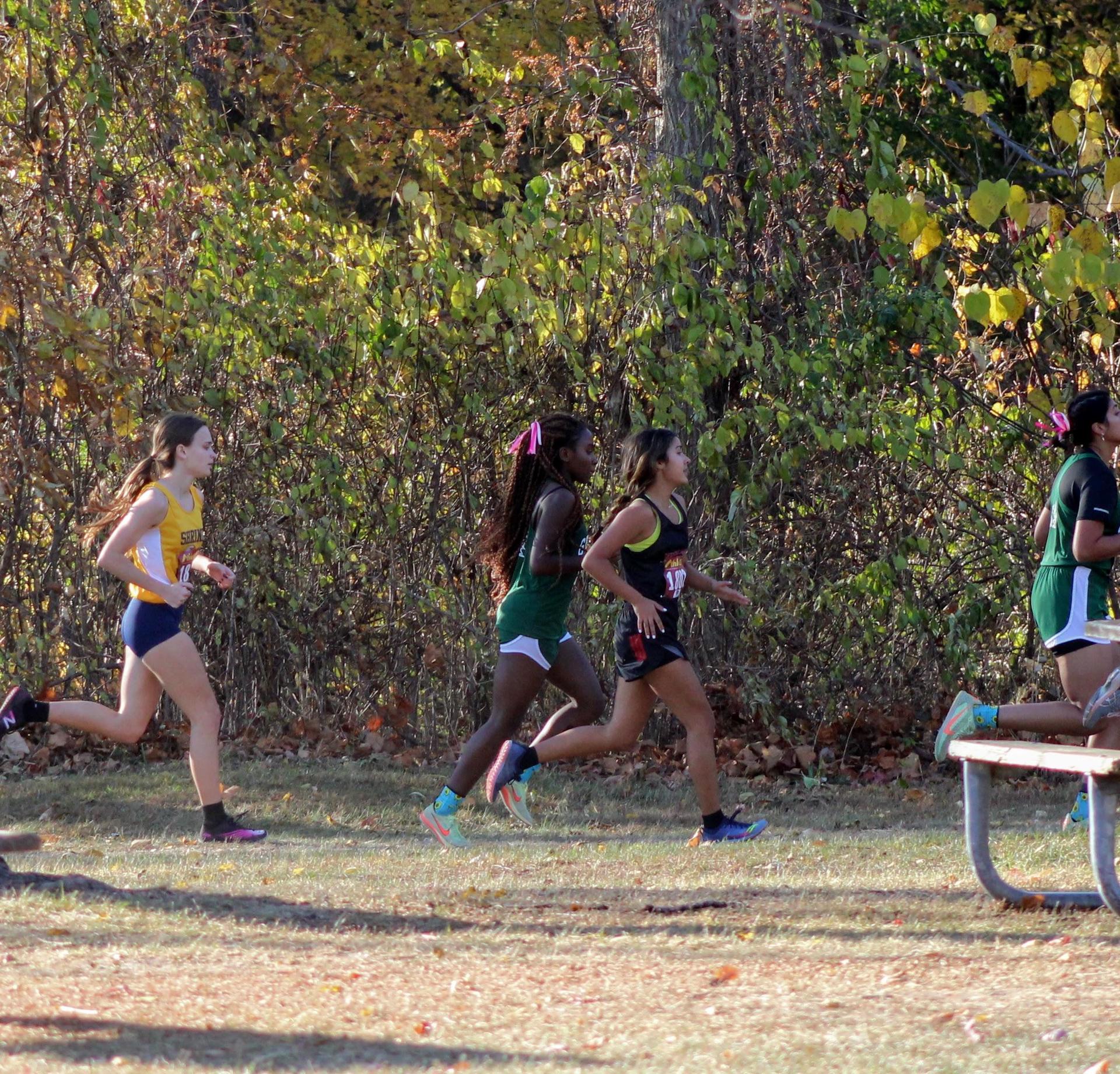 2022 CHSL D4 CHAMPIONS – Cross Country – Cardinal Mooney Catholic High ...