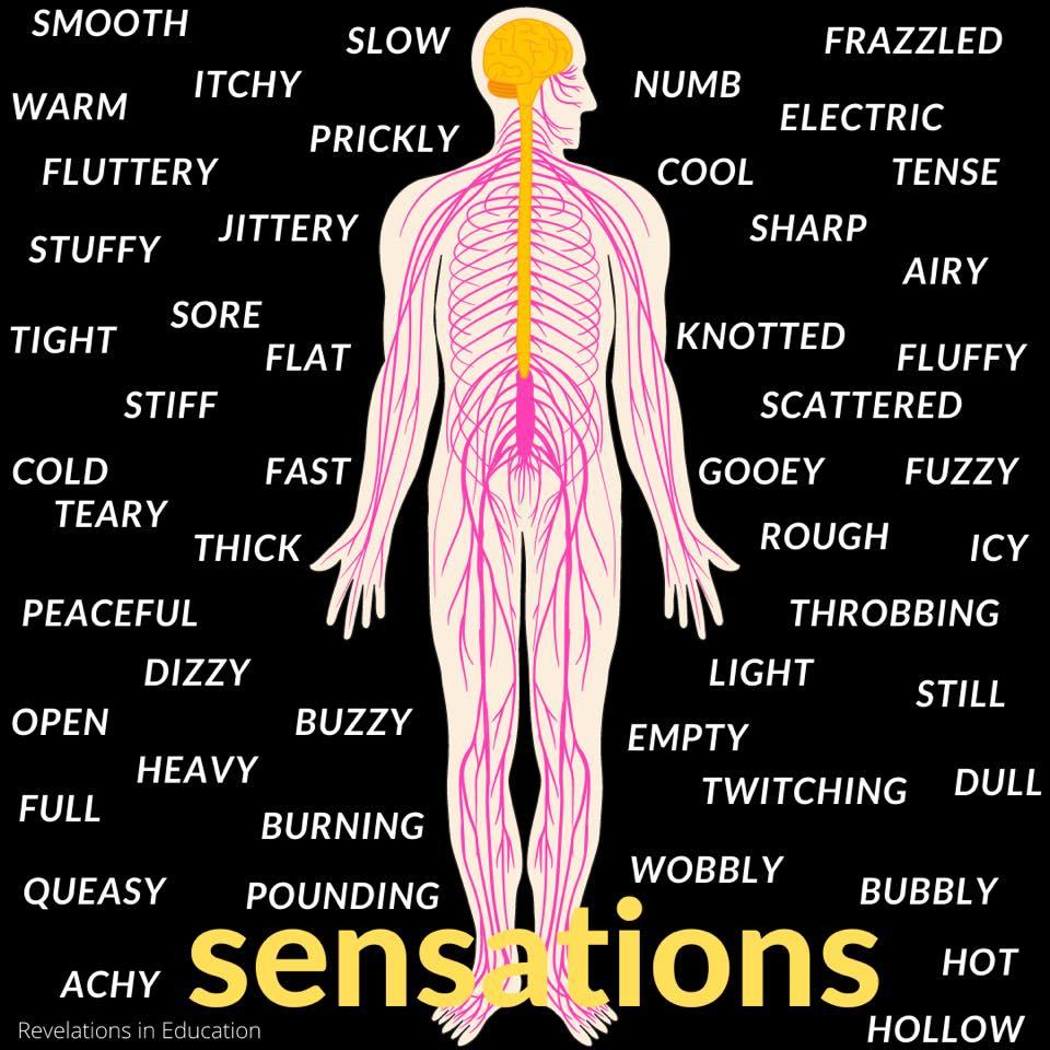 Applied Education Neuroscience – Pages for Strong in Every Way ...