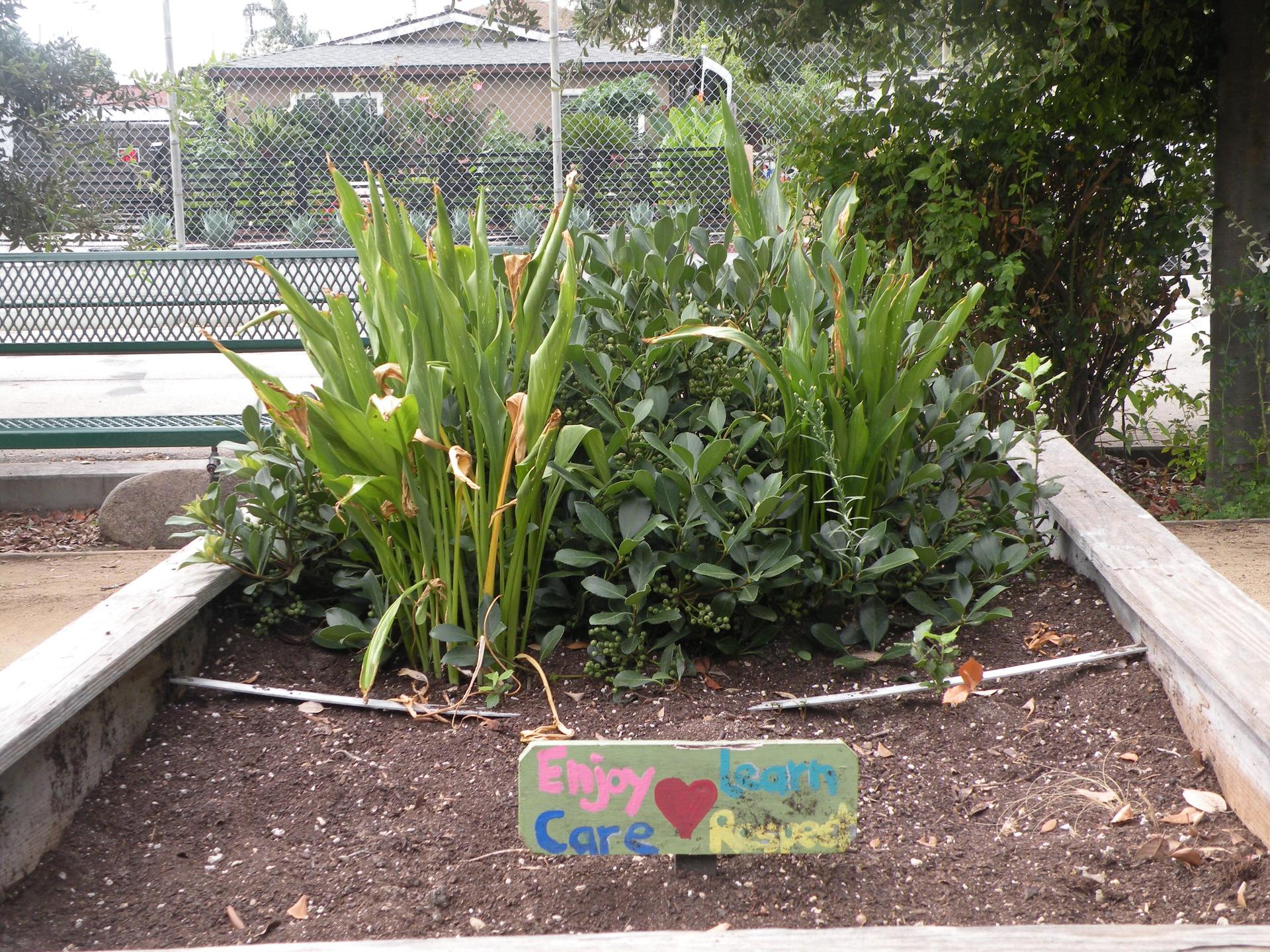 Stanford Garden – Academics – Stanford Avenue Elementary