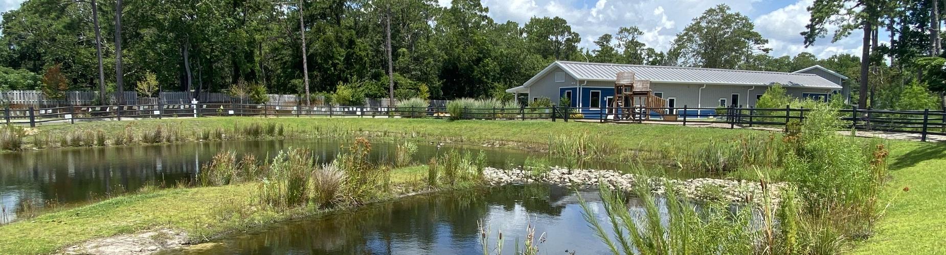 Friends School of Wilmington | Wilmington, NC Preschool - 8th Grade