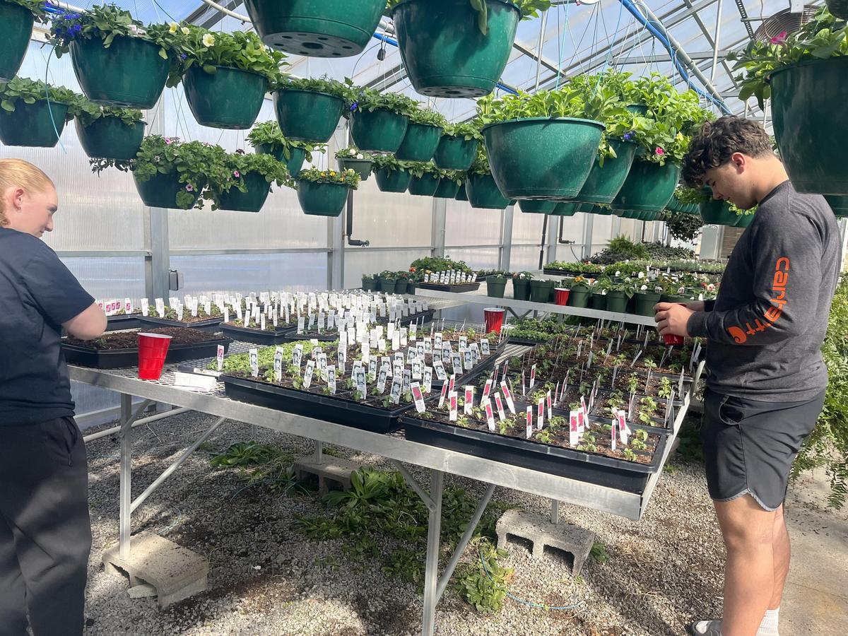 Growing Success: Support your local school for your plant needs ...