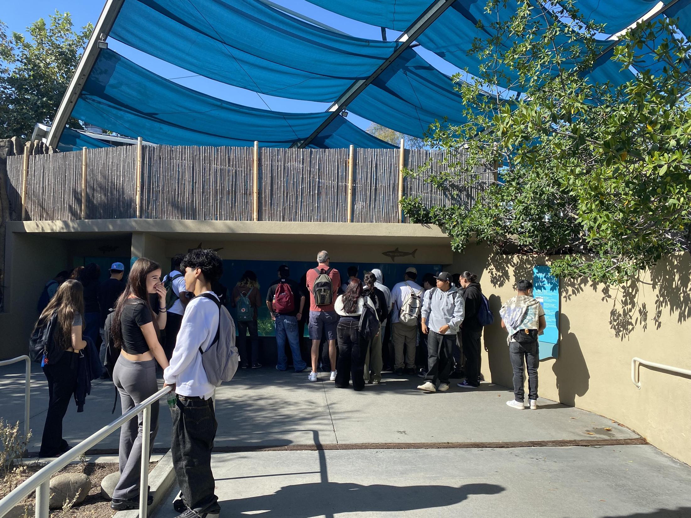 School Activities – Students – Albert Einstein Continuation High School