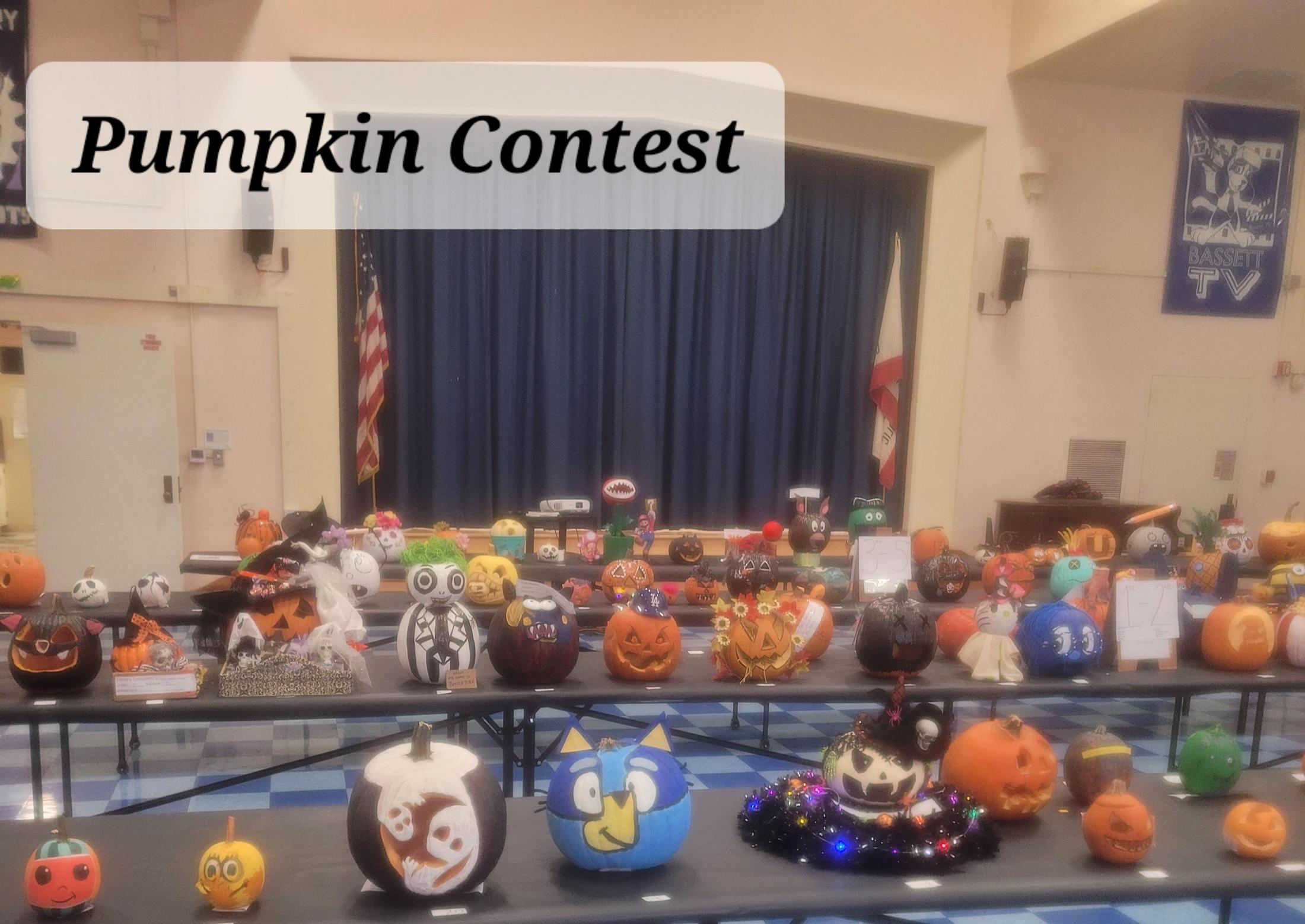 Posts – School Librarian Sheeba Divakar – Bassett Street Elementary