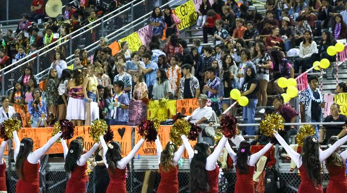 Ocean View High School