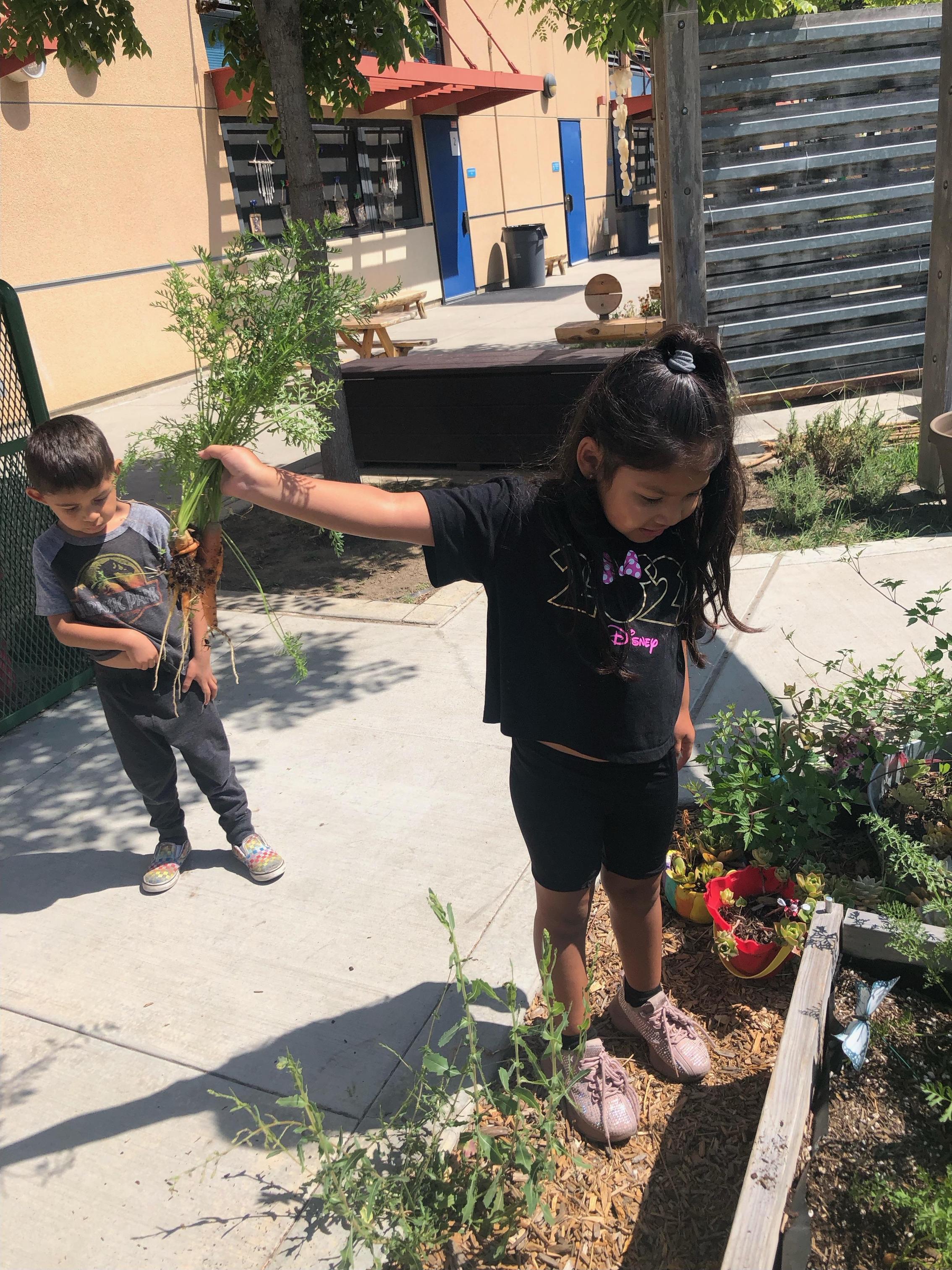 Gardening Study – Curriculum – Jaime Escalante Early Education Center