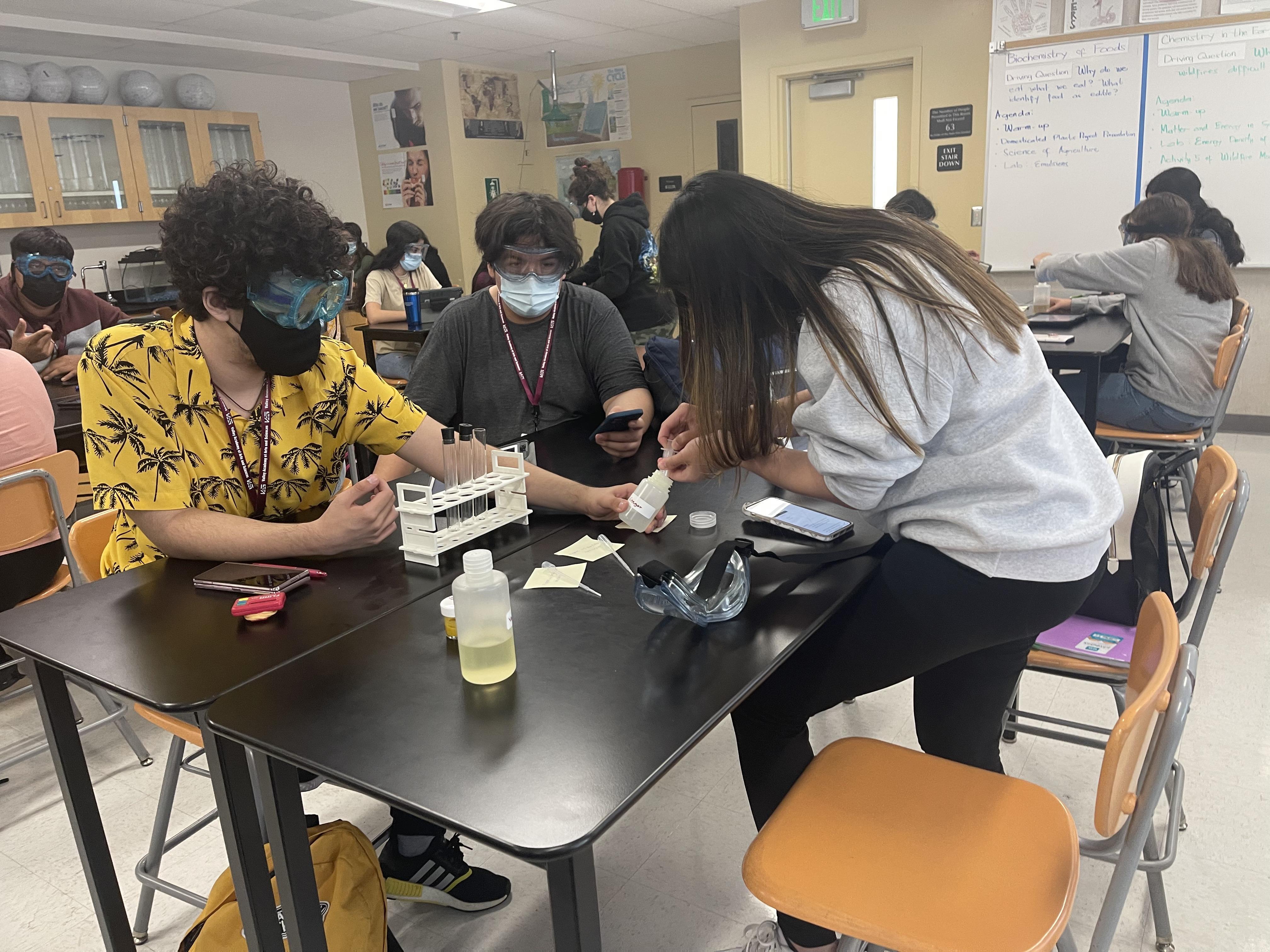 Biochemistry of Foods – Sciences – Valley Academy of Arts and Sciences