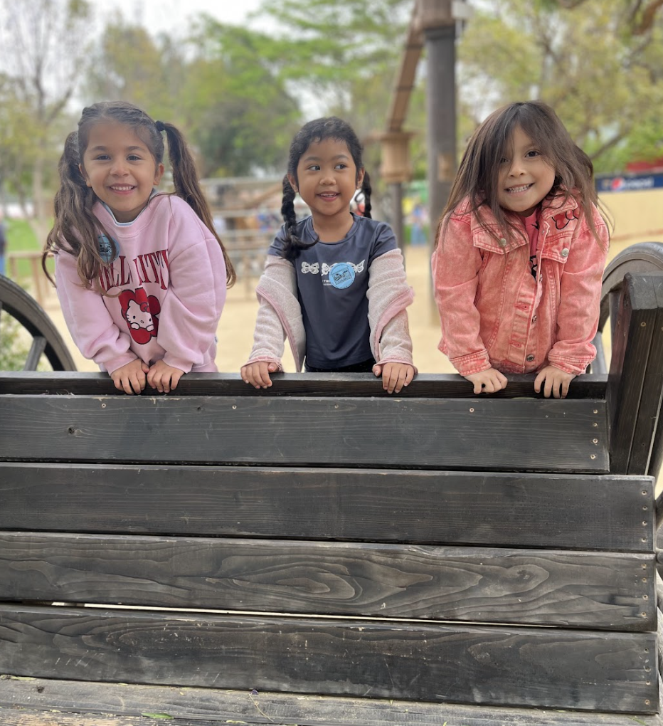 TK/Kindergarten – Grade Levels – Haynes Charter for Enriched Studies