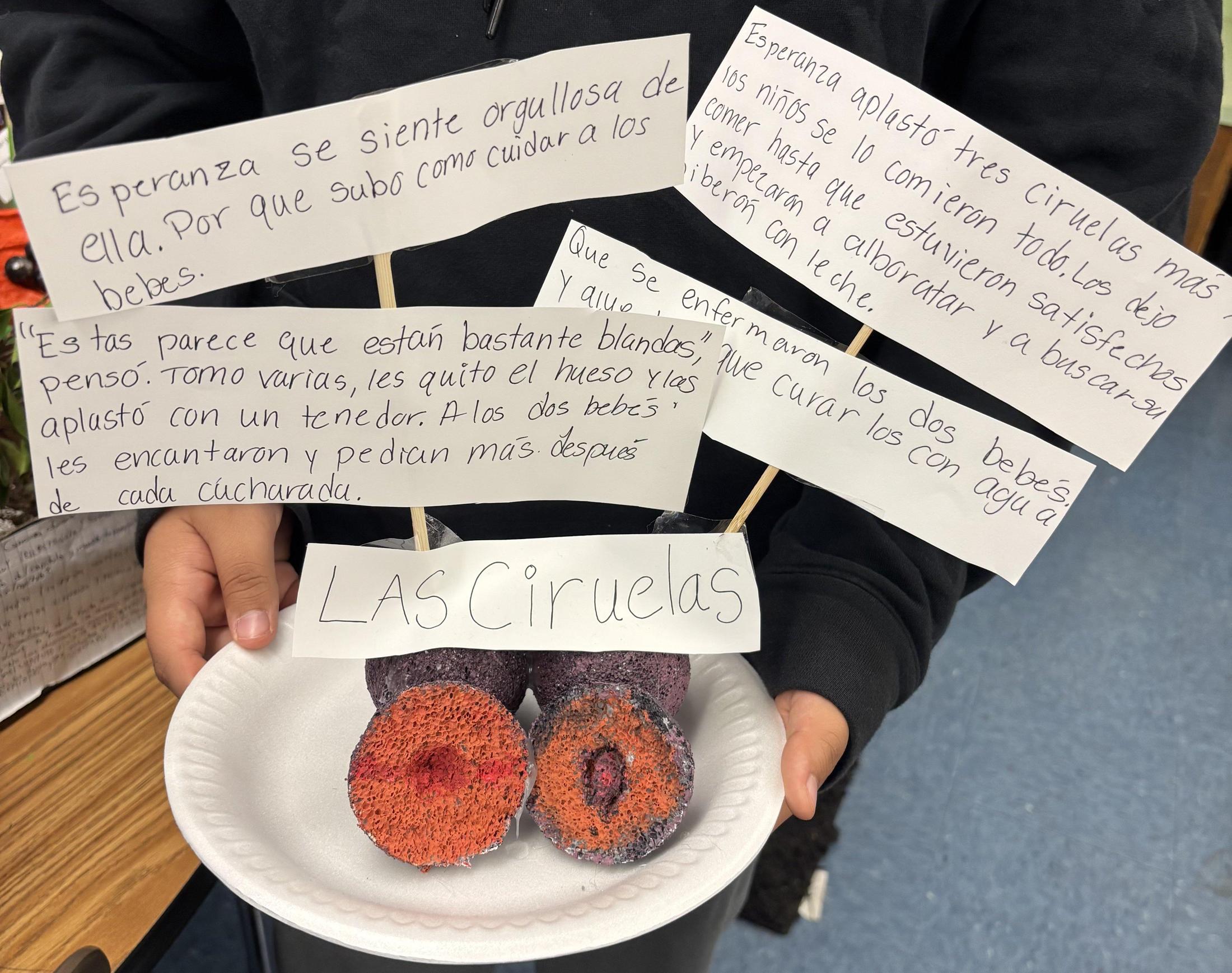 Esperanza Rising project by Ms. Contreras-Jauregui's class – Dual ...