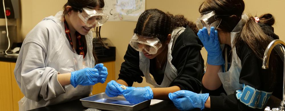 White Settlement ISD