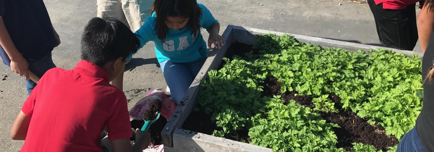 Montague Charter Academy for the Arts and Sciences