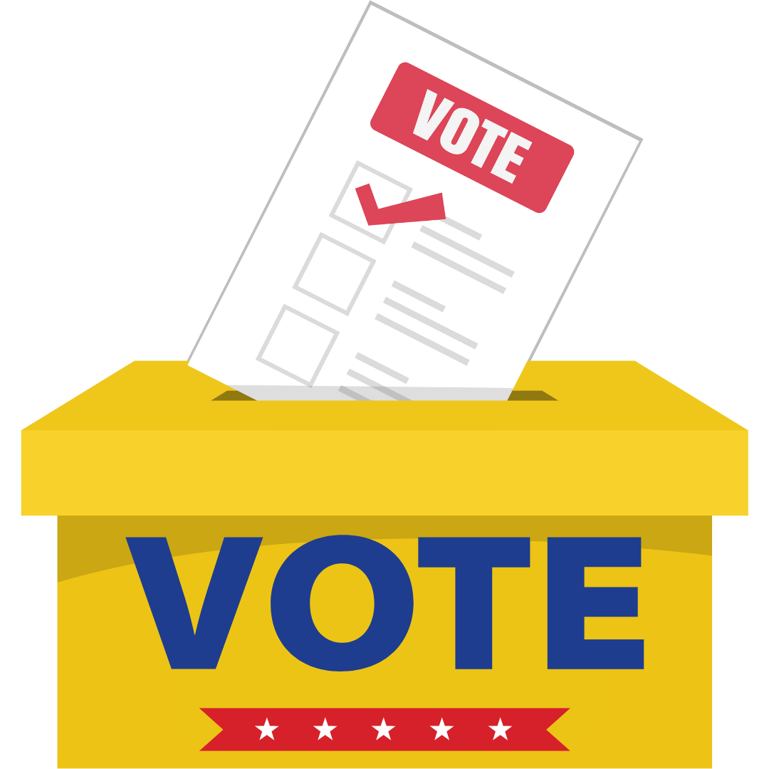 The Voting Process – Social Studies - The Voting Process – Statewide ...