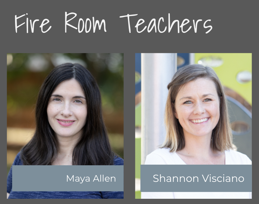 Fire Room Overview – Fire Room – Compass Montessori