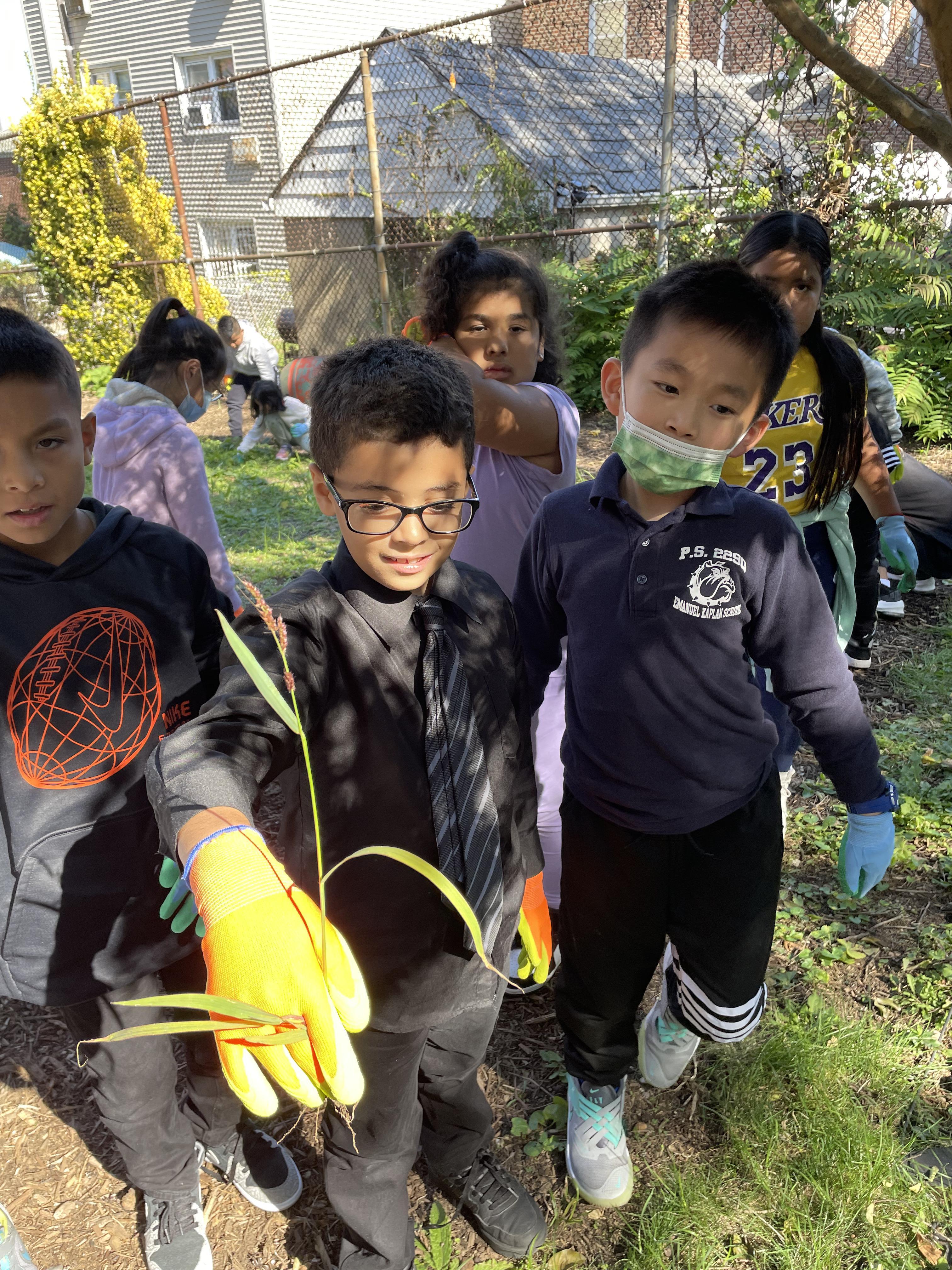 Project Based Learning - Science – Project Based Learning – PS 229 ...