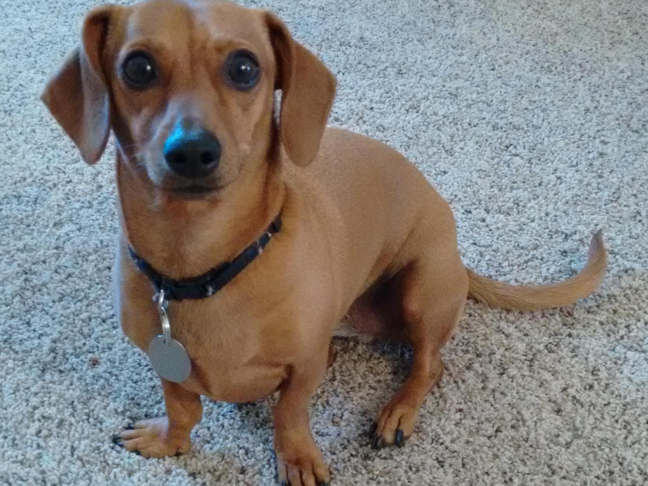 Pictures – Jean Hutton – Mountain Oaks School