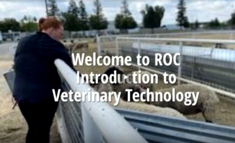 Veterinary Technology - Programs - Regional Occupational Center