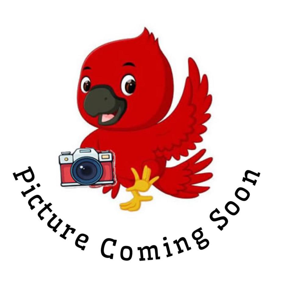 Staff Directory | Stewarts Creek Elementary School