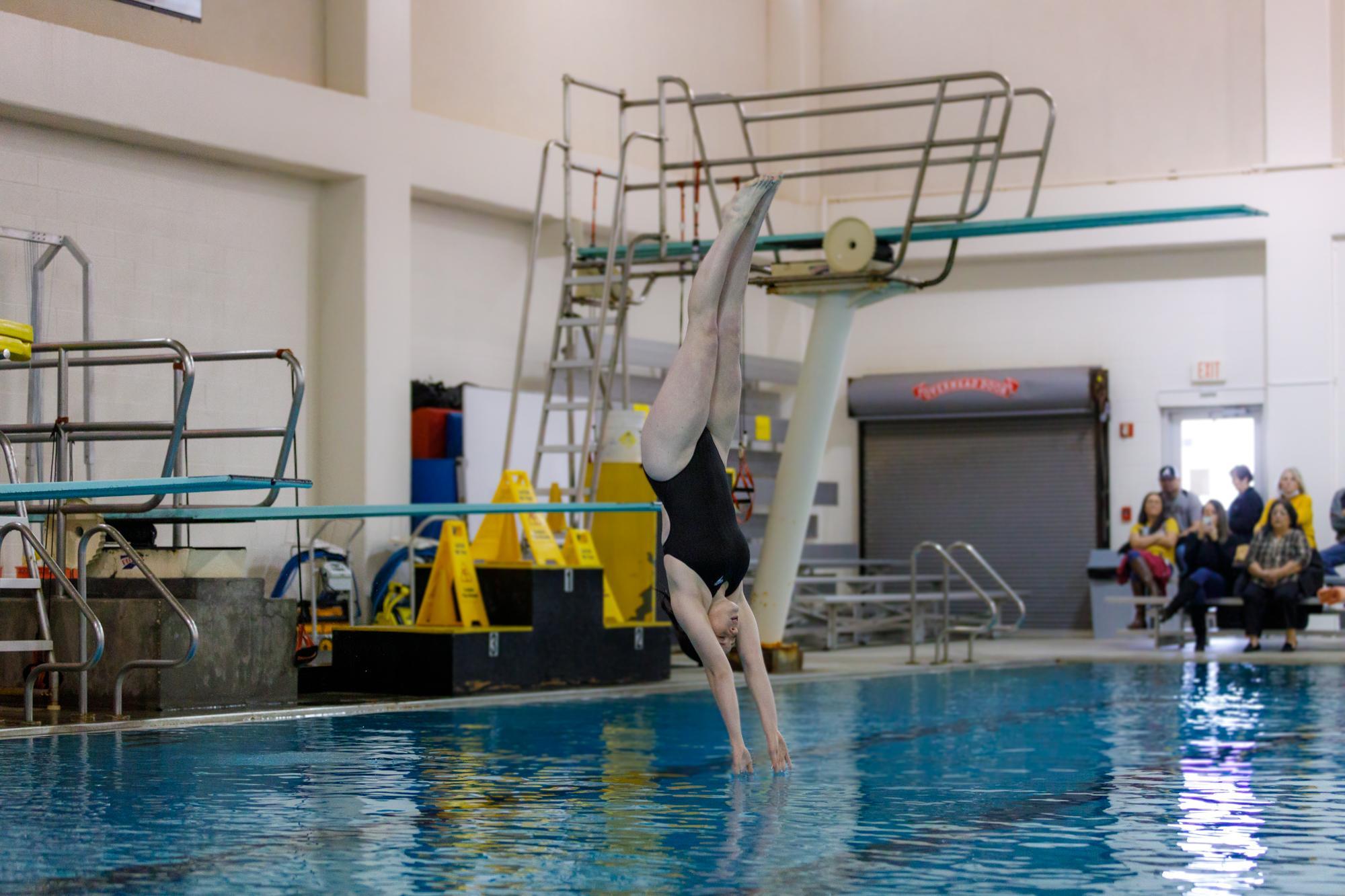 Swimming & Diving - Swimming & Diving - Andrews High School
