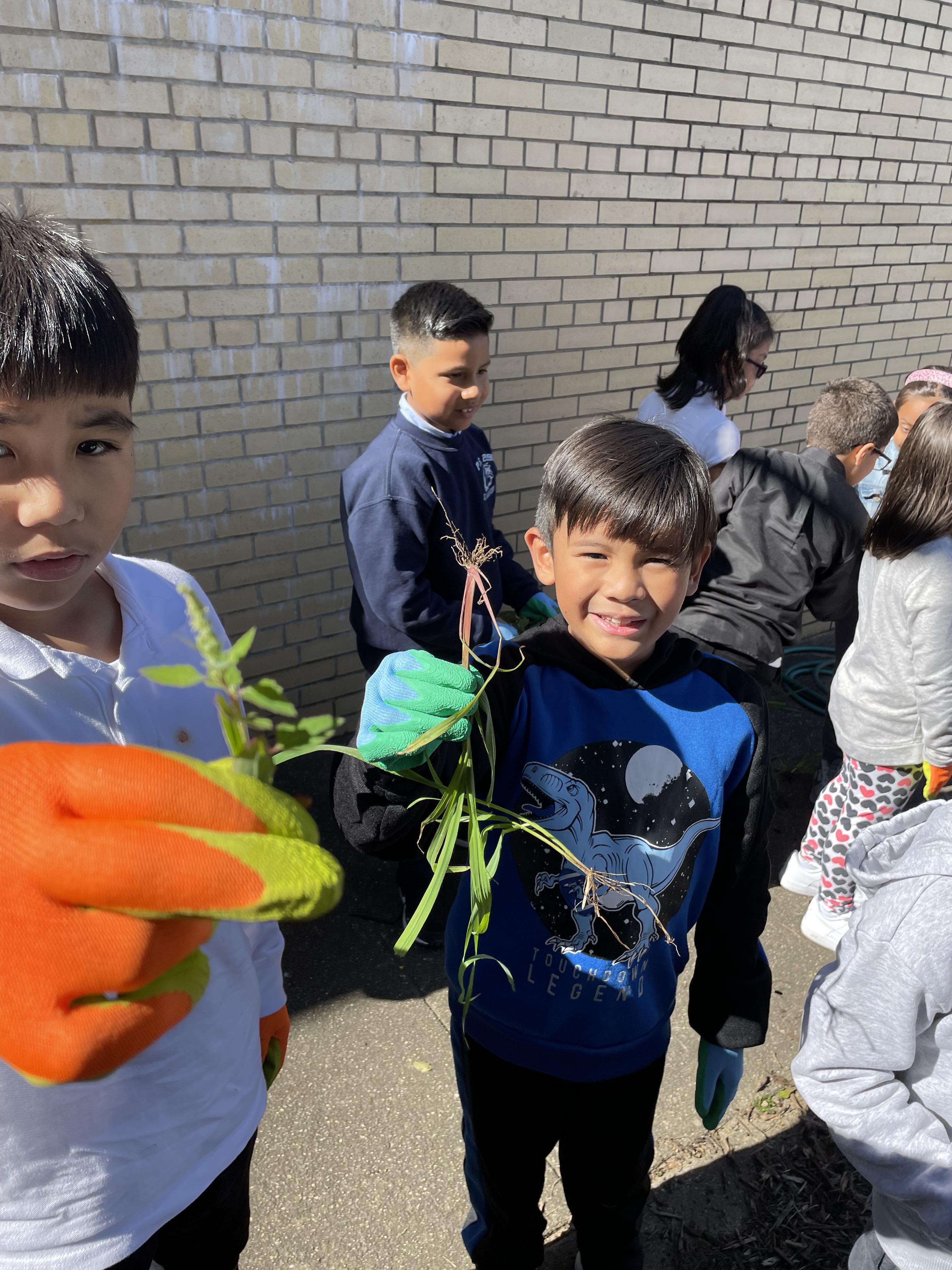 Project Based Learning - Science – Project Based Learning – PS 229 ...