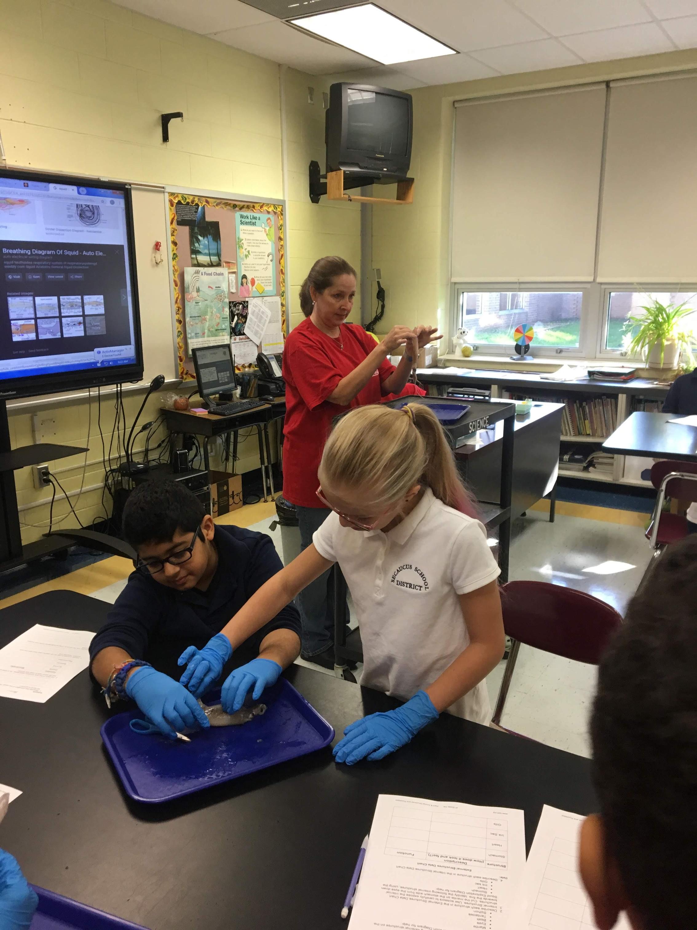 Science Lab | Clarendon Elementary School
