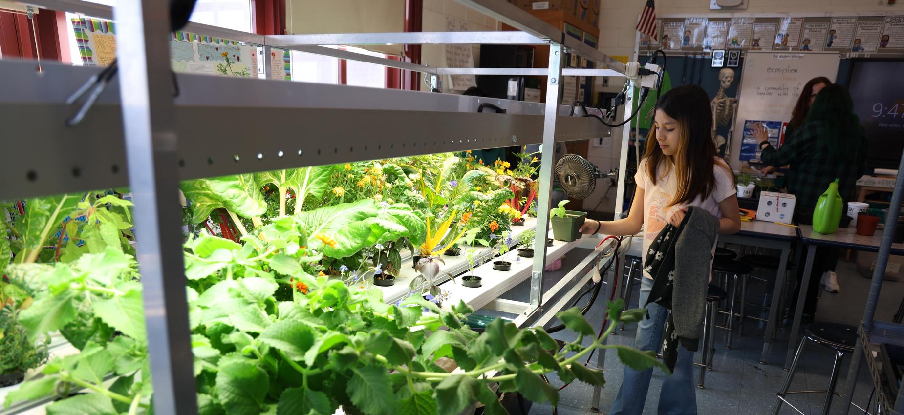 PS 14Q - The Fairview School