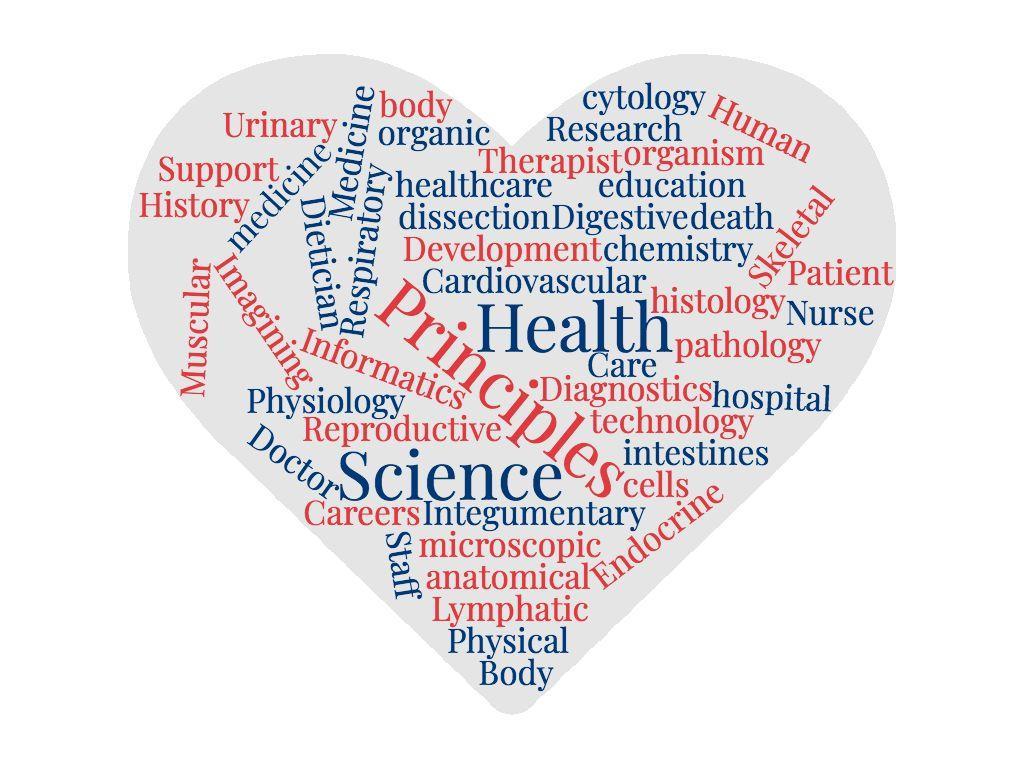 Per.3 - Medical Terminology (Fall 2022)/ Principles of Health Science ...