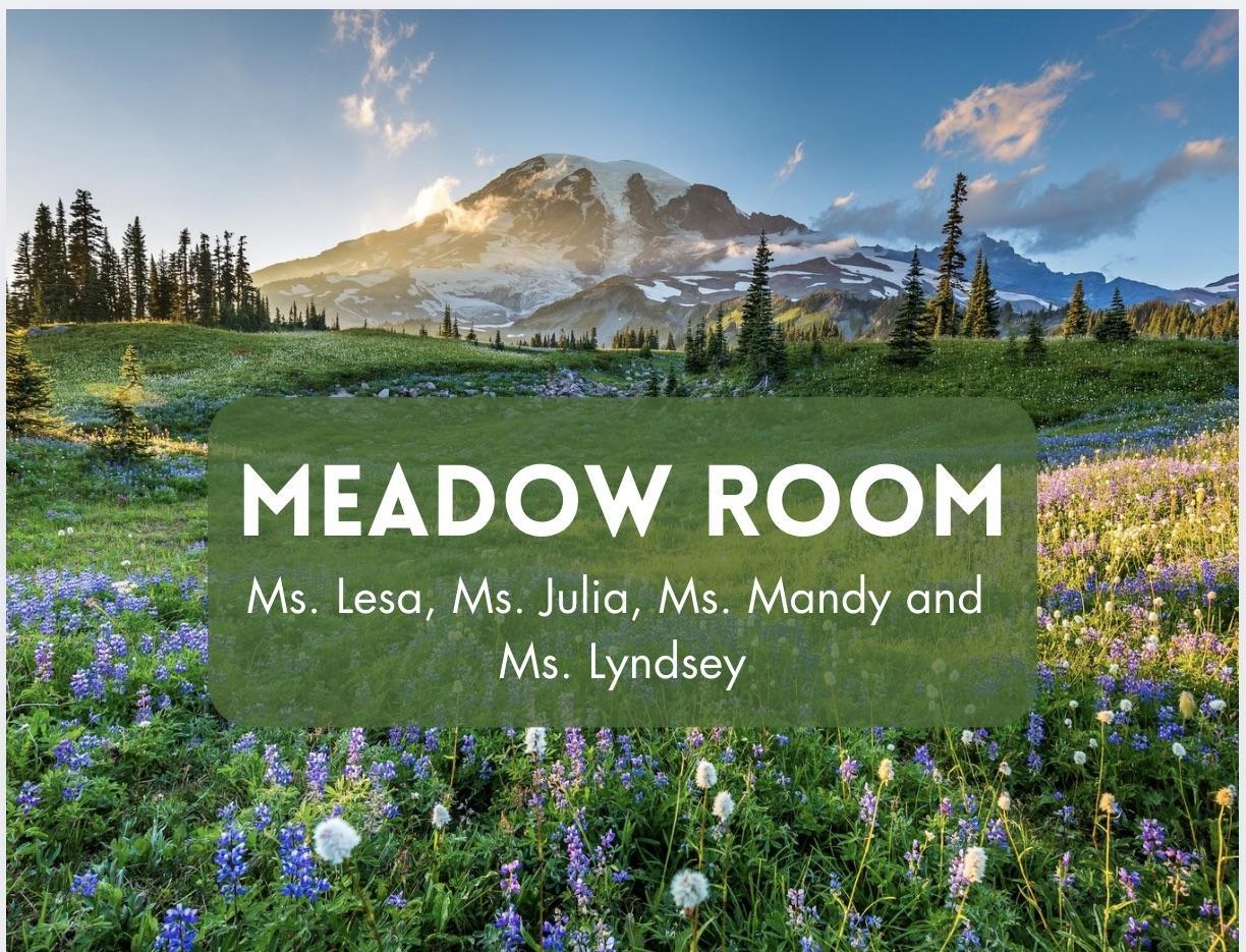 Meadow Home Page – Meadow Room – Compass Montessori