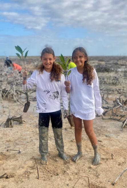 The Primary Eco-Schools Programme – Primary School – Lucaya ...