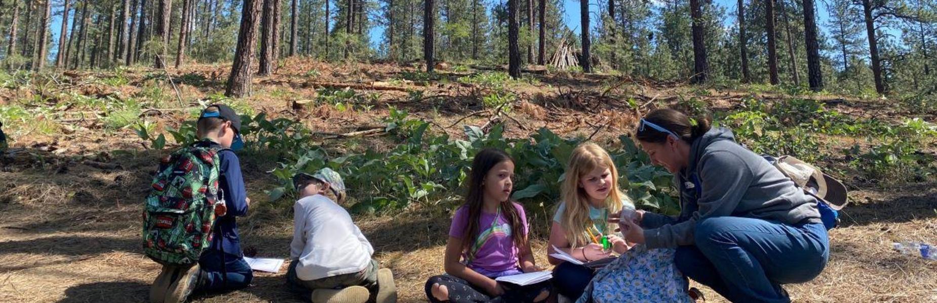 Ness Elementary School