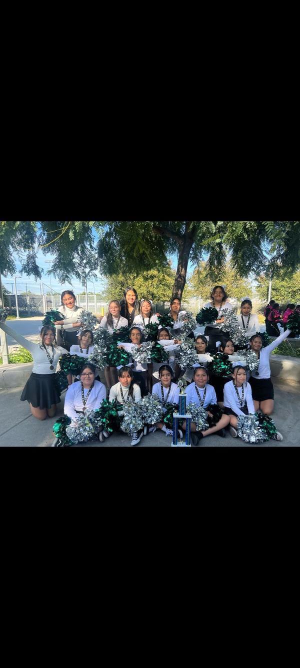 Sports – Programs – Orchard Academies 2C