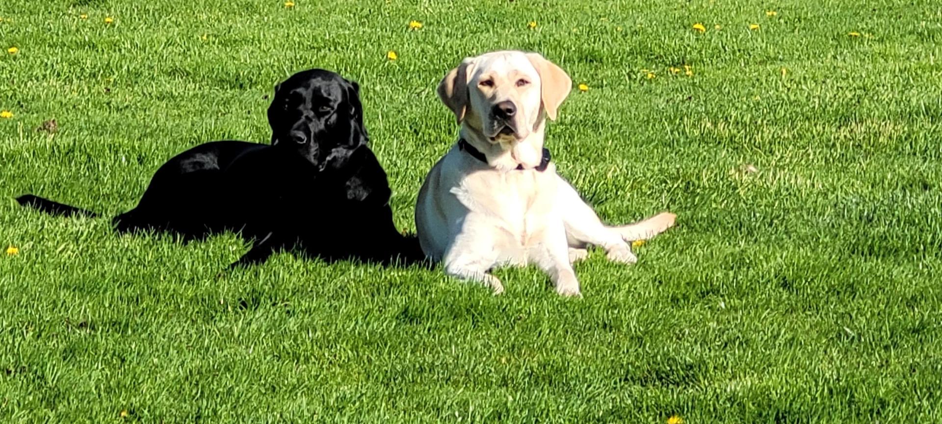 Meet the teacher – Mrs. Christal Edwards – Canaan Christian Academy