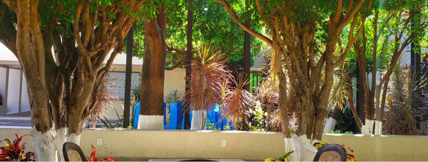 Centro Universitario Anglo Mexicano (Preparatoria CUAM)