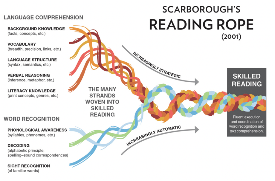 The Science of Reading and Writing – Elementary Literacy – P-12 Instruction