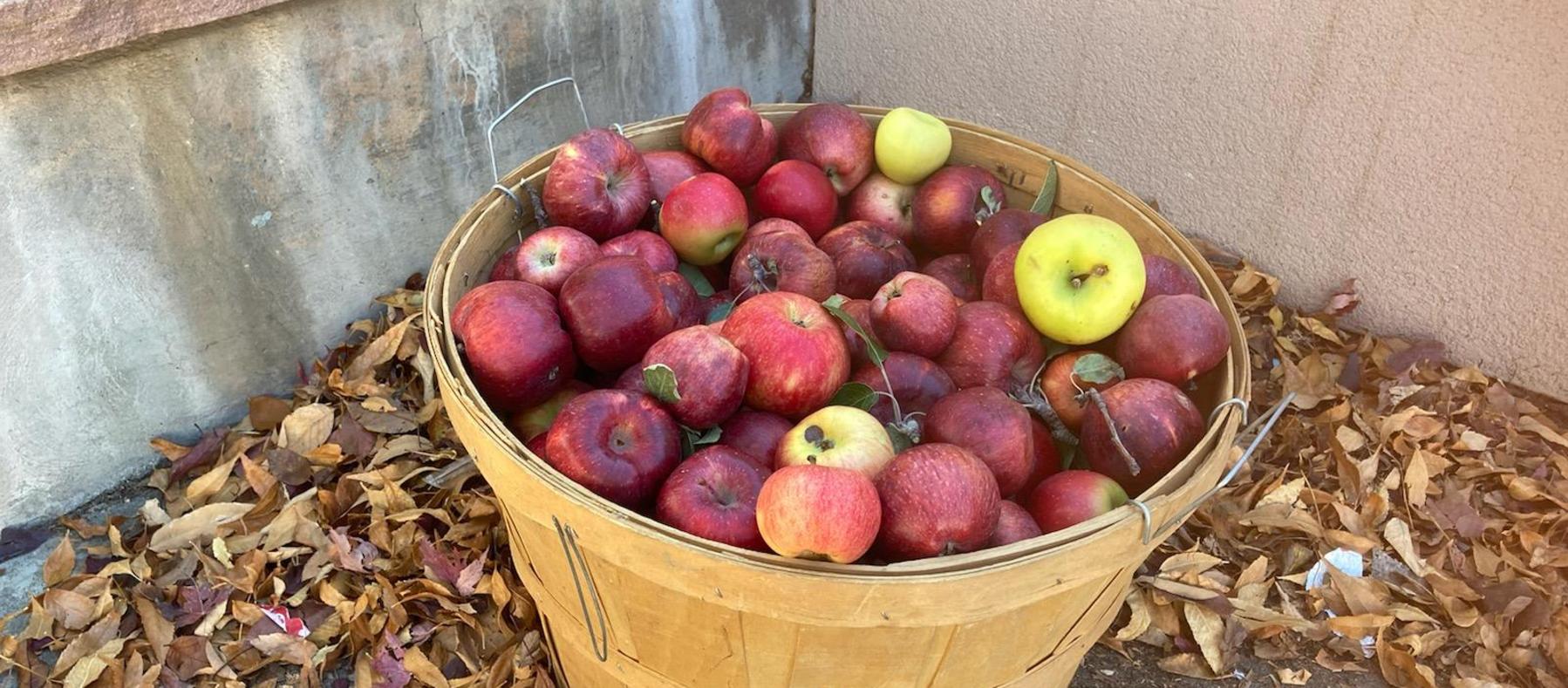 Riverview Elementary