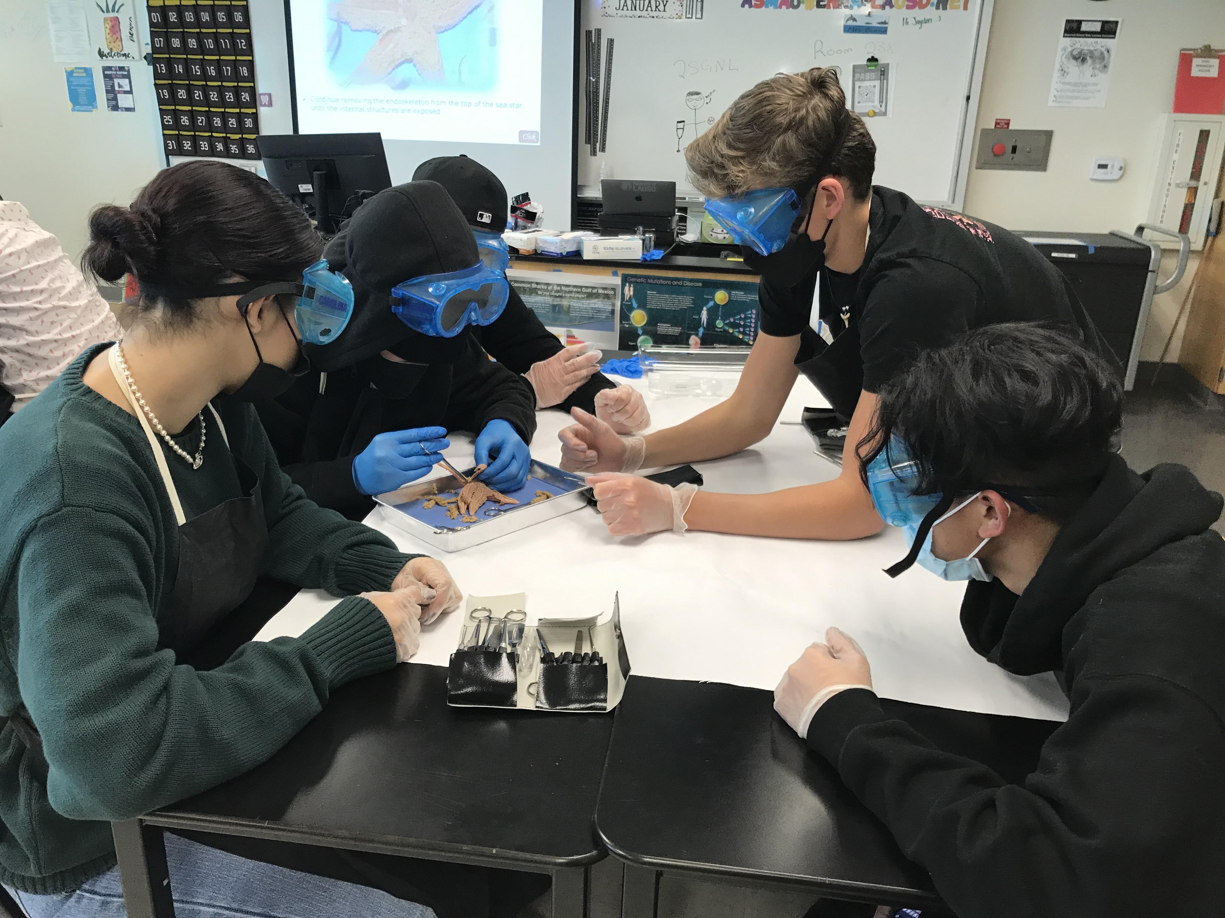 Marine Biology – Sciences – Valley Academy of Arts and Sciences