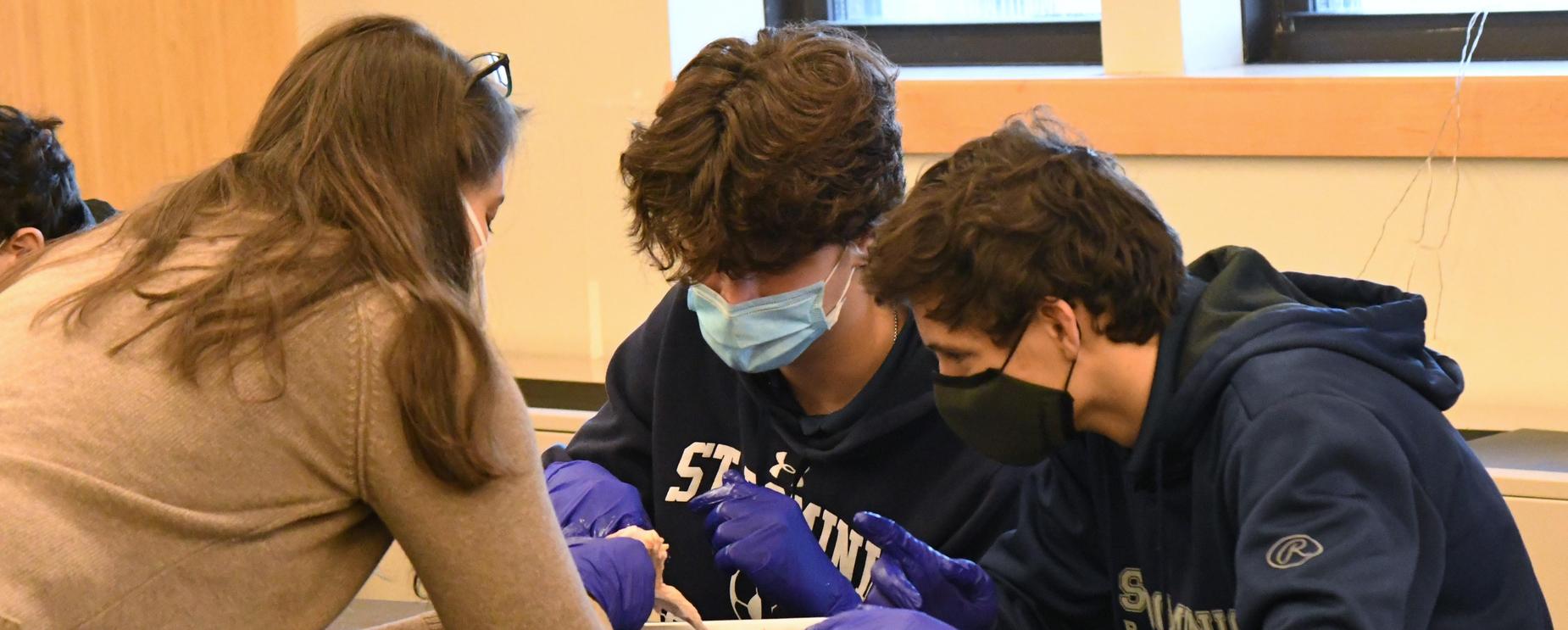 St. Dominic High School