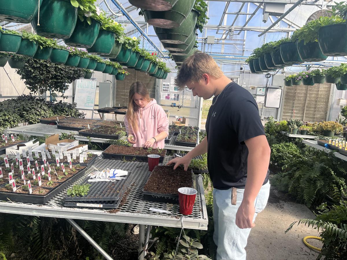 Growing Success: Support your local school for your plant needs ...