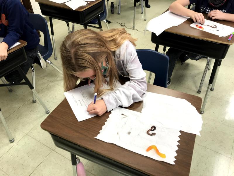 Coal City Intermediate School