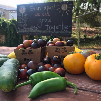 Mira Catalina Elementary