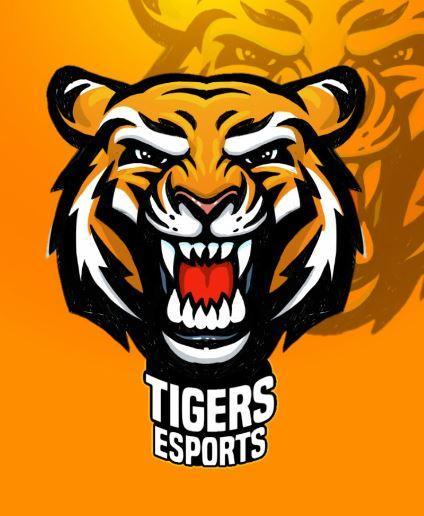 Hackettstown Tigers ESports Club – eSports – Hackettstown High School