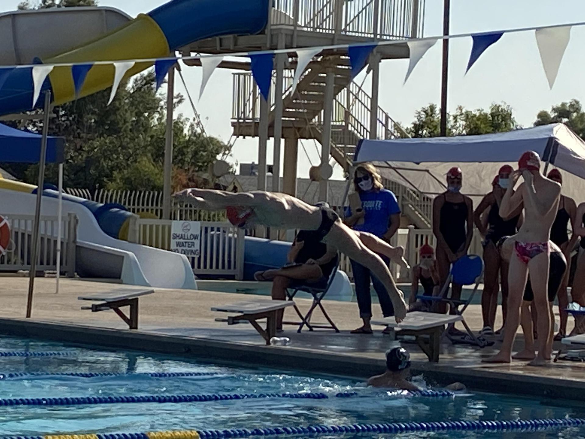 Swim & Dive - Swim & Dive - Seton Catholic Preparatory