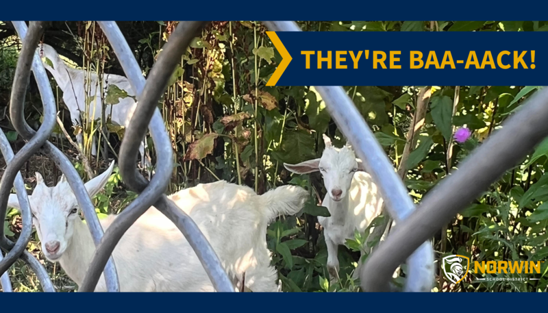 Norwin School District