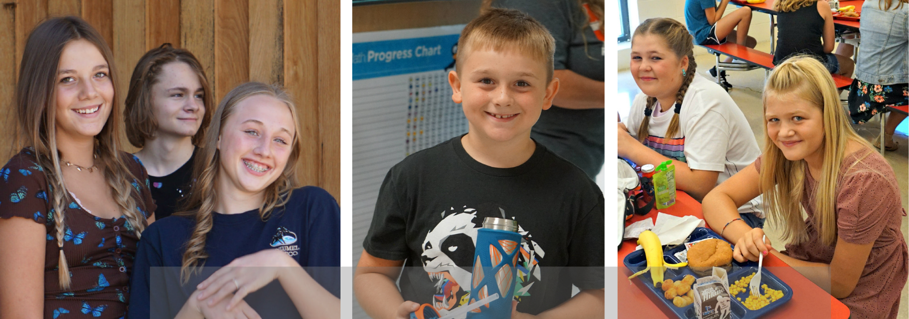 Reeds Spring Schools