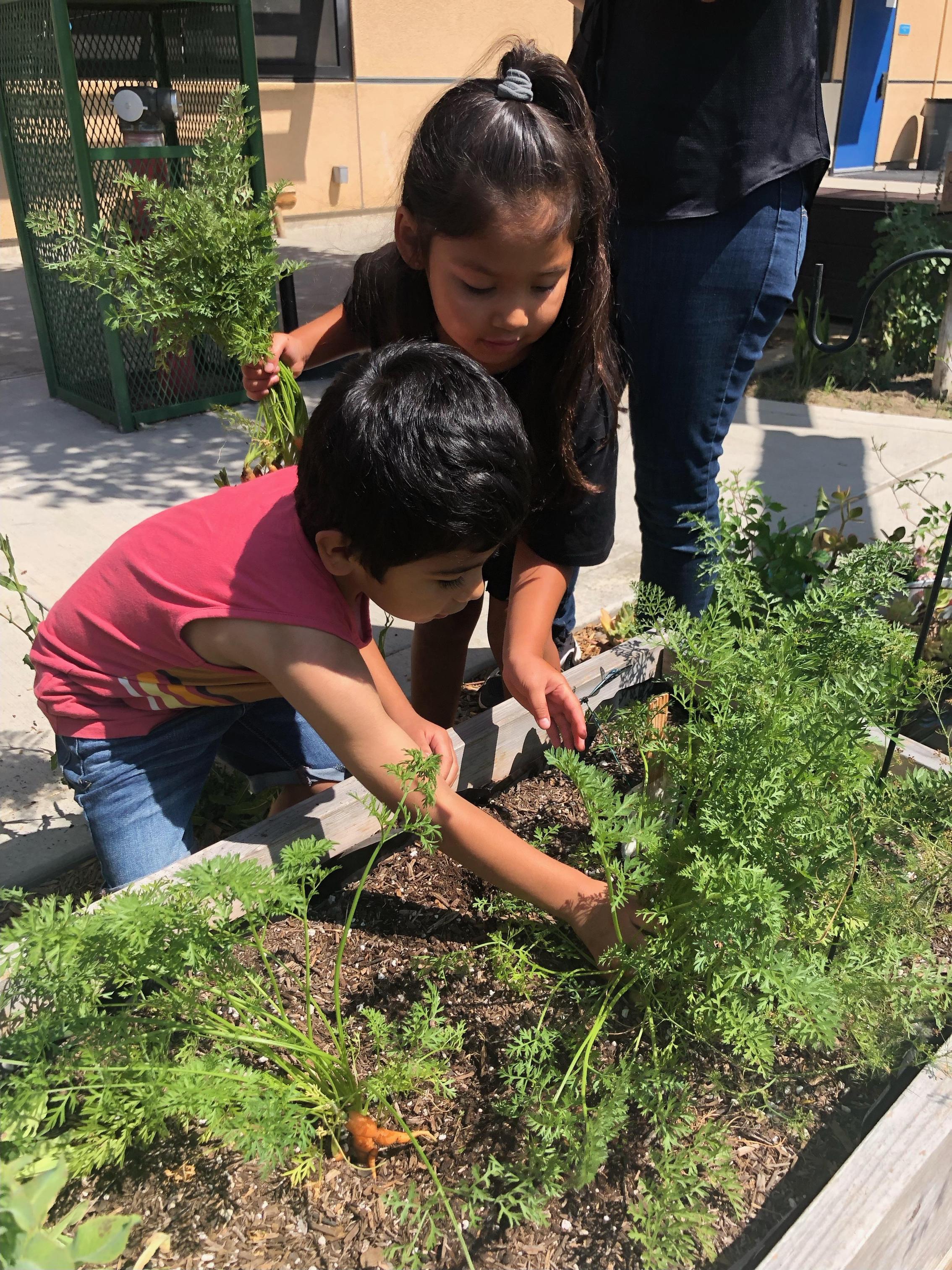 Gardening Study – Curriculum – Jaime Escalante Early Education Center