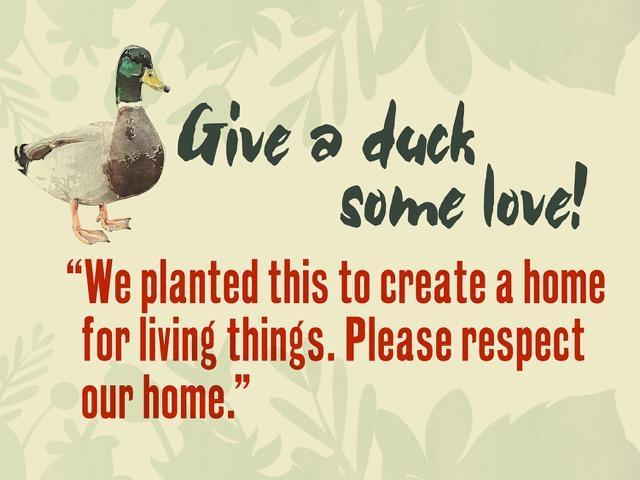 Caring For The Wildlands – Walgrove Wildlands – Walgrove Avenue Elementary